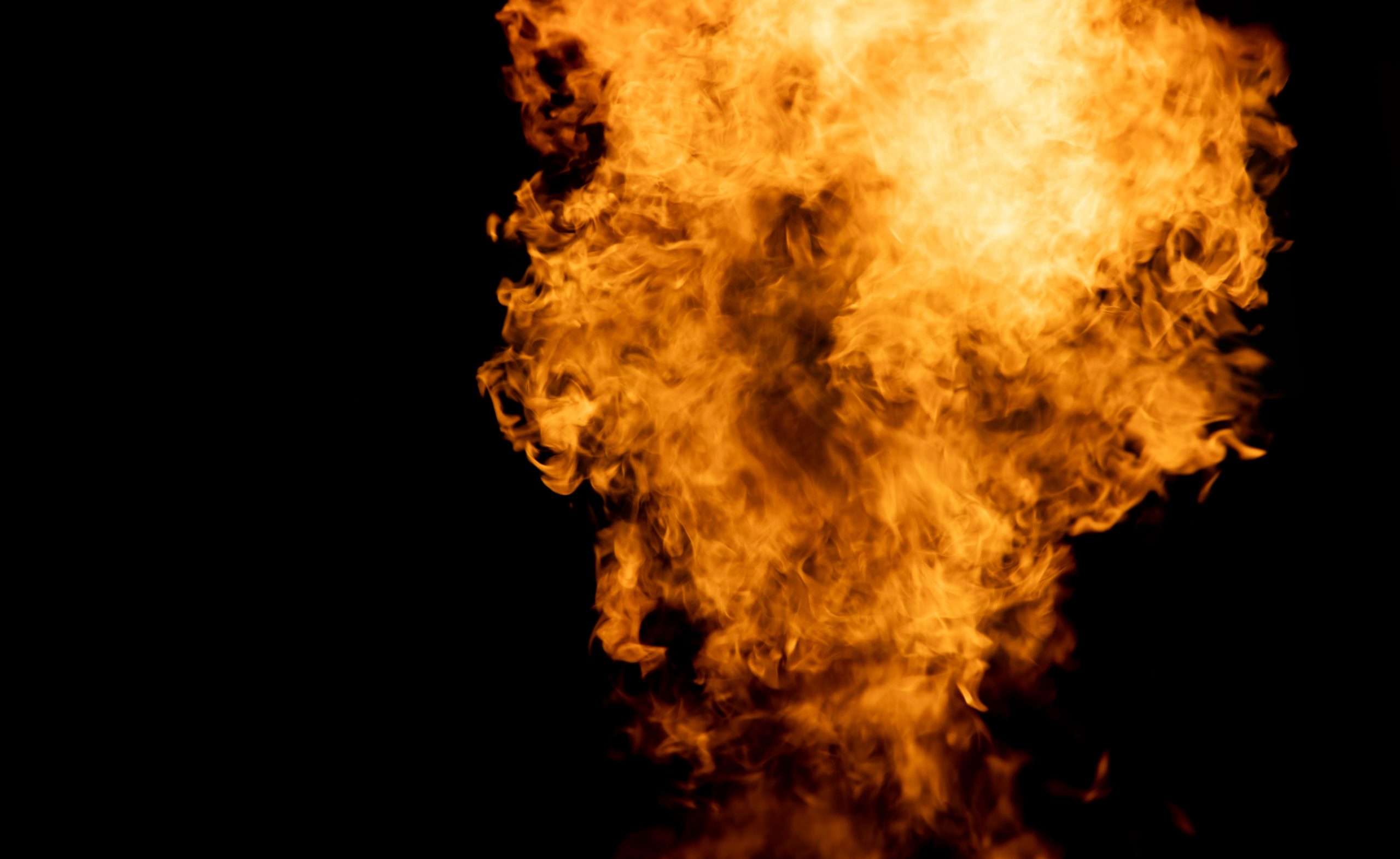 Pure Gas Strain: Classic OG Flavors And Deep Body Relaxation